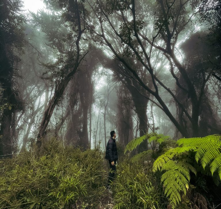 Parque Nacional Natural Chingaza: Guía para llegar y qué ver - Travesía ...